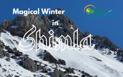 Shimla Manali Tour Packages: Scenic Adventure Awaits